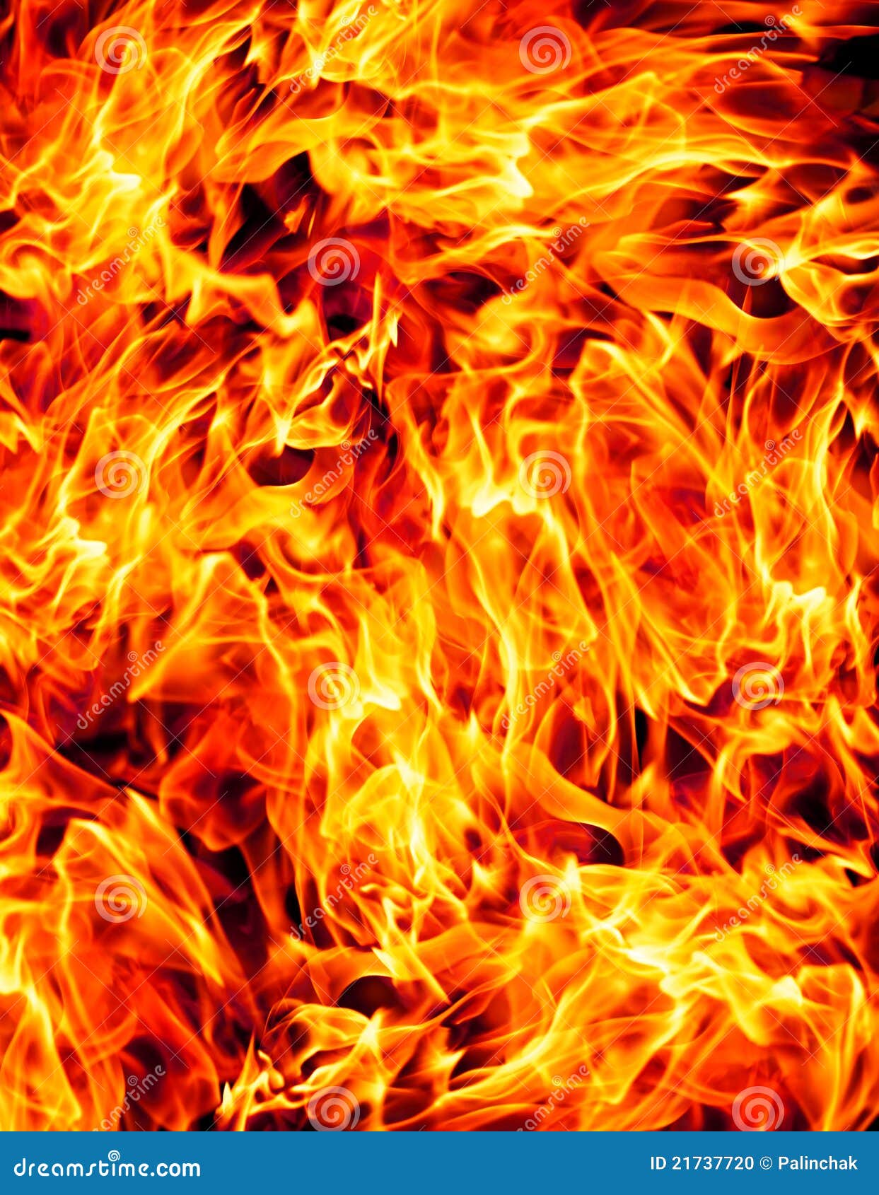 Fire stock photo. Image of combustion, yellow, heat, fiery - 21737720