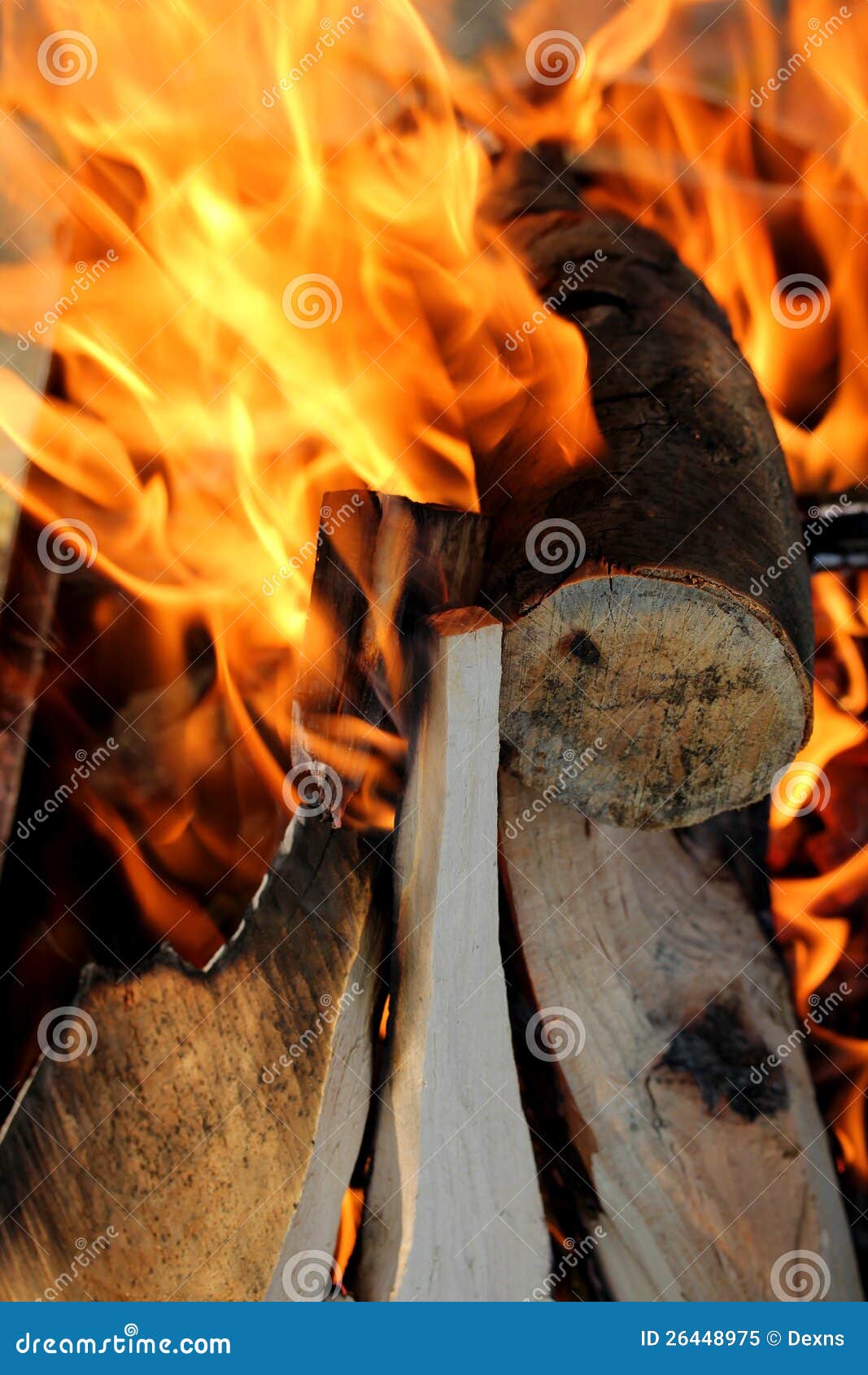 Fire stock image. Image of fire, coal, igniting, flame - 26448975