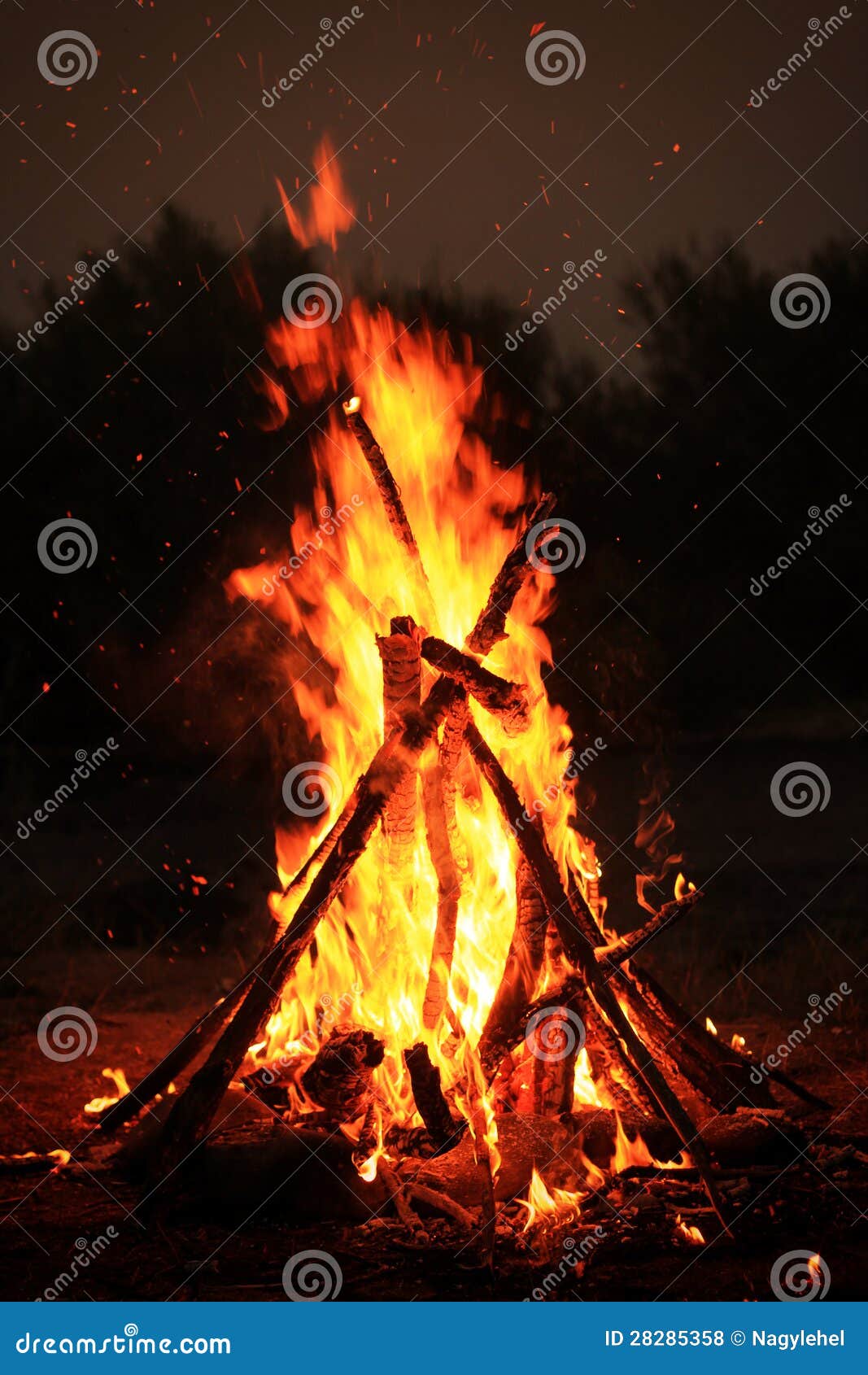 Fire within stock photo. Image of fire, forest, fireman - 28285358