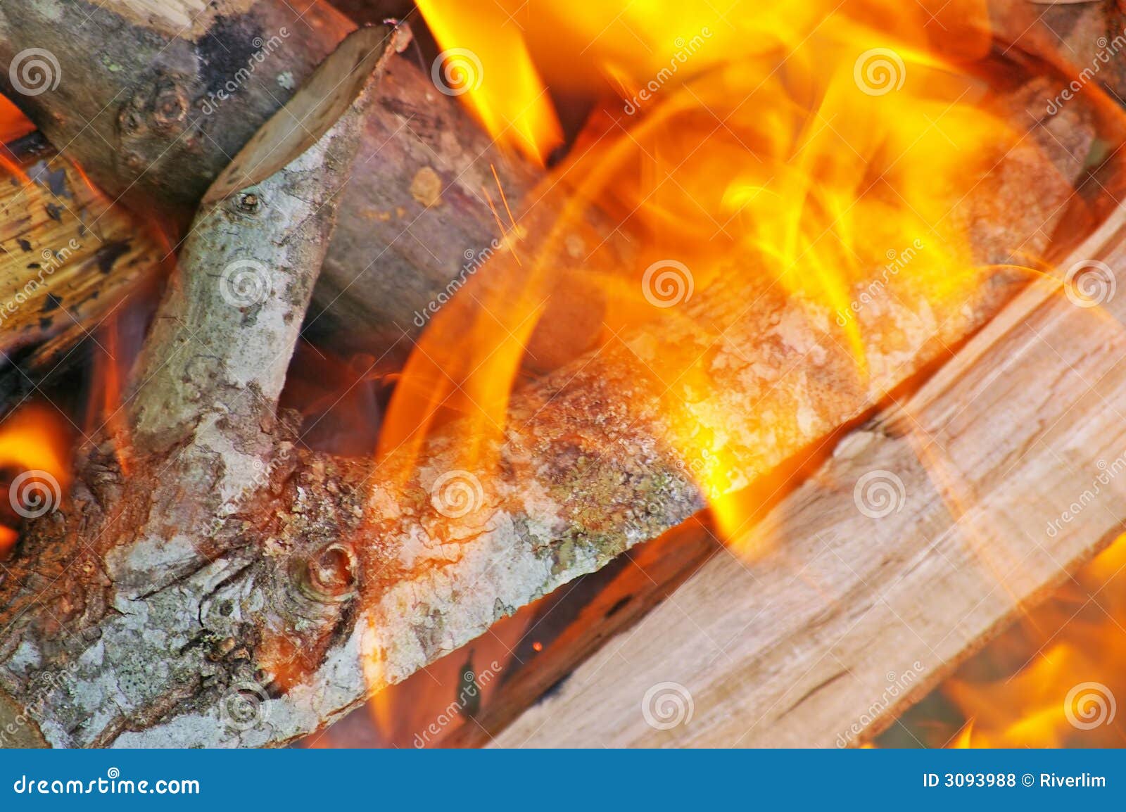 Fire stock photo. Image of bonfire, timber, rural, pine - 3093988