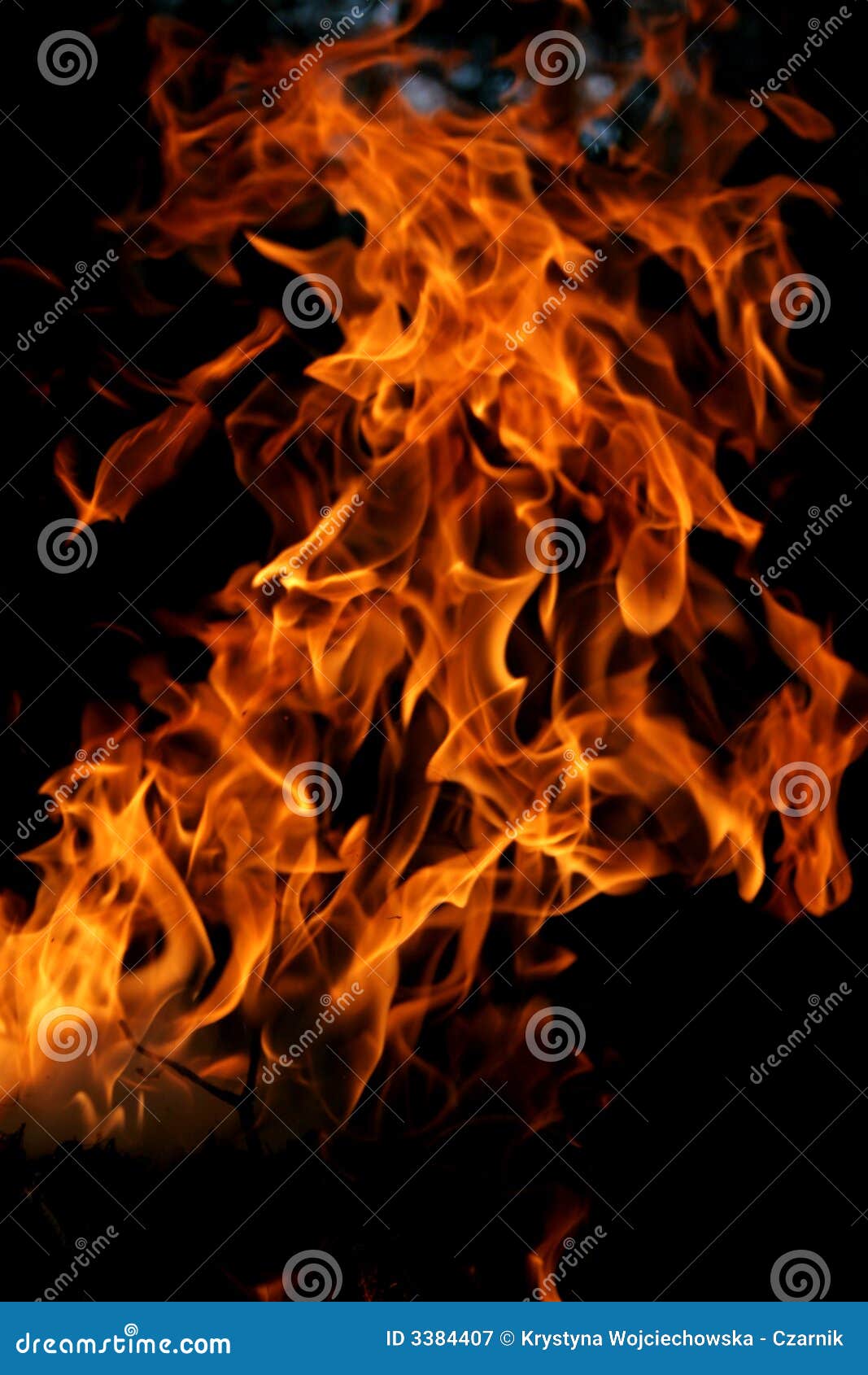 Fire stock image. Image of warm, orange, bonfire, natural - 3384407