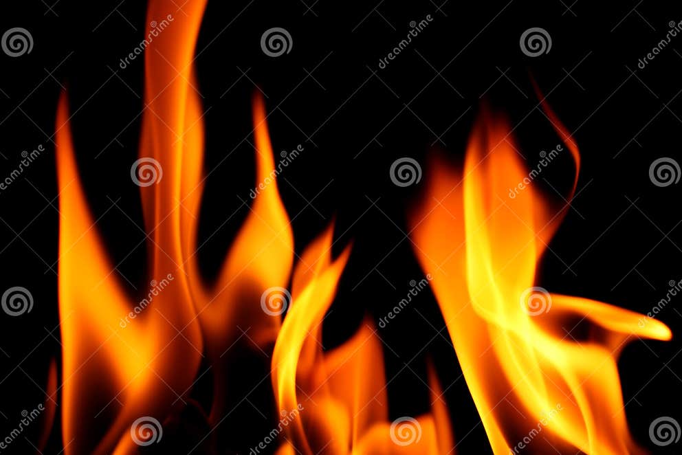 Fire stock photo. Image of inferno, closeup, light, bonfire - 6065600