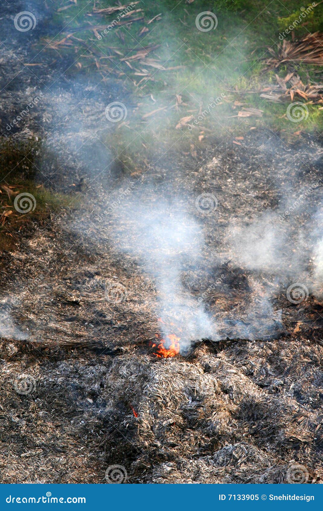 Fire stock image. Image of burn, fiedls, smog, smoke, fire - 7133905