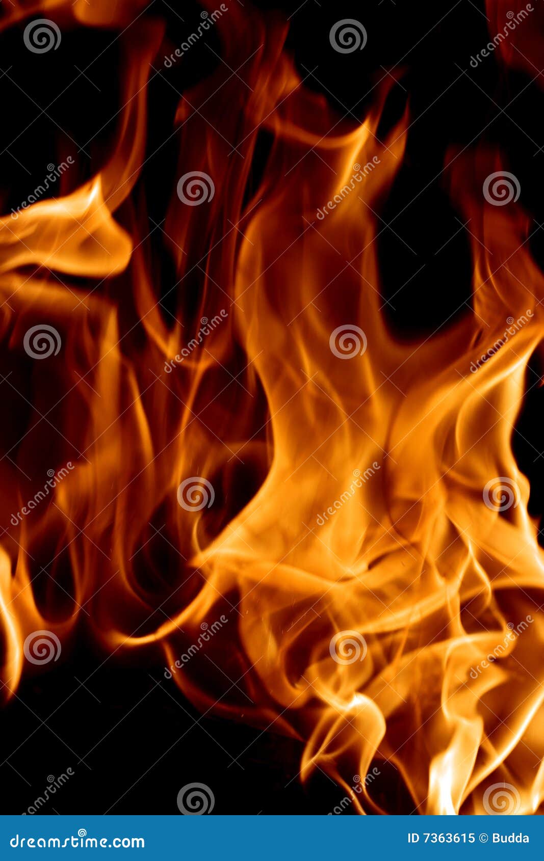 Fire stock image. Image of blazing, fireplace, bonfire - 7363615
