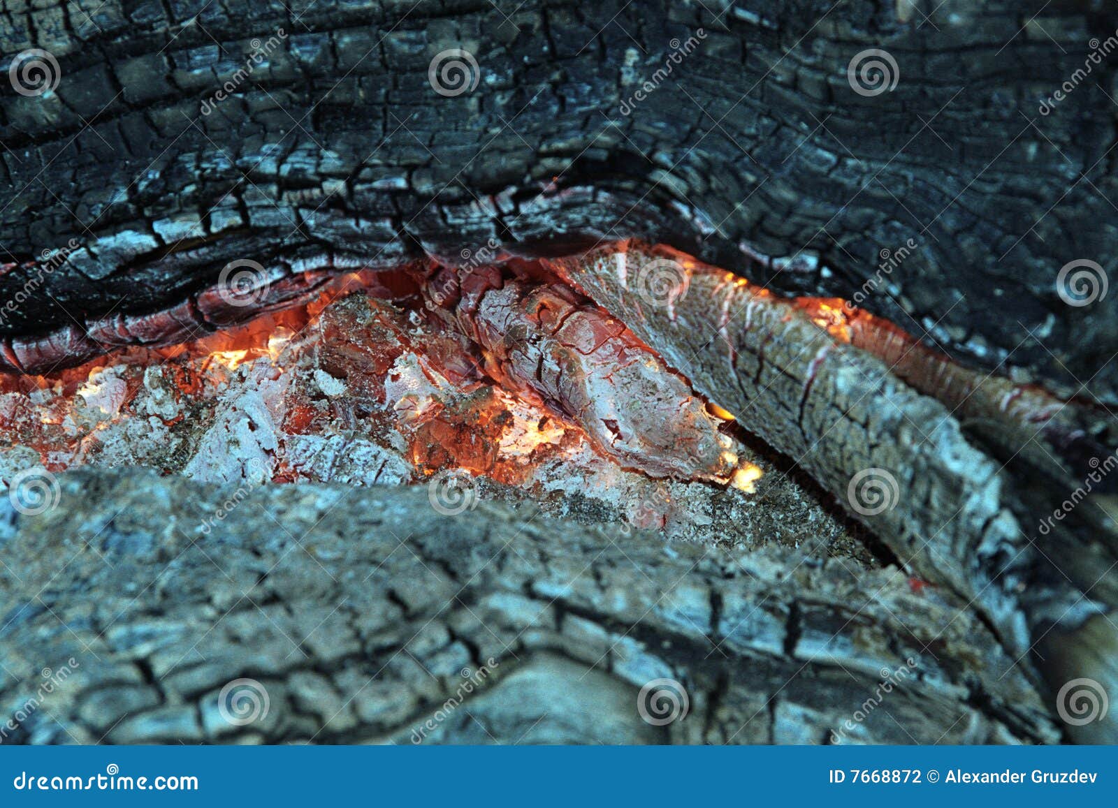 The fire stock photo. Image of ashes, decay, wood, rest - 7668872