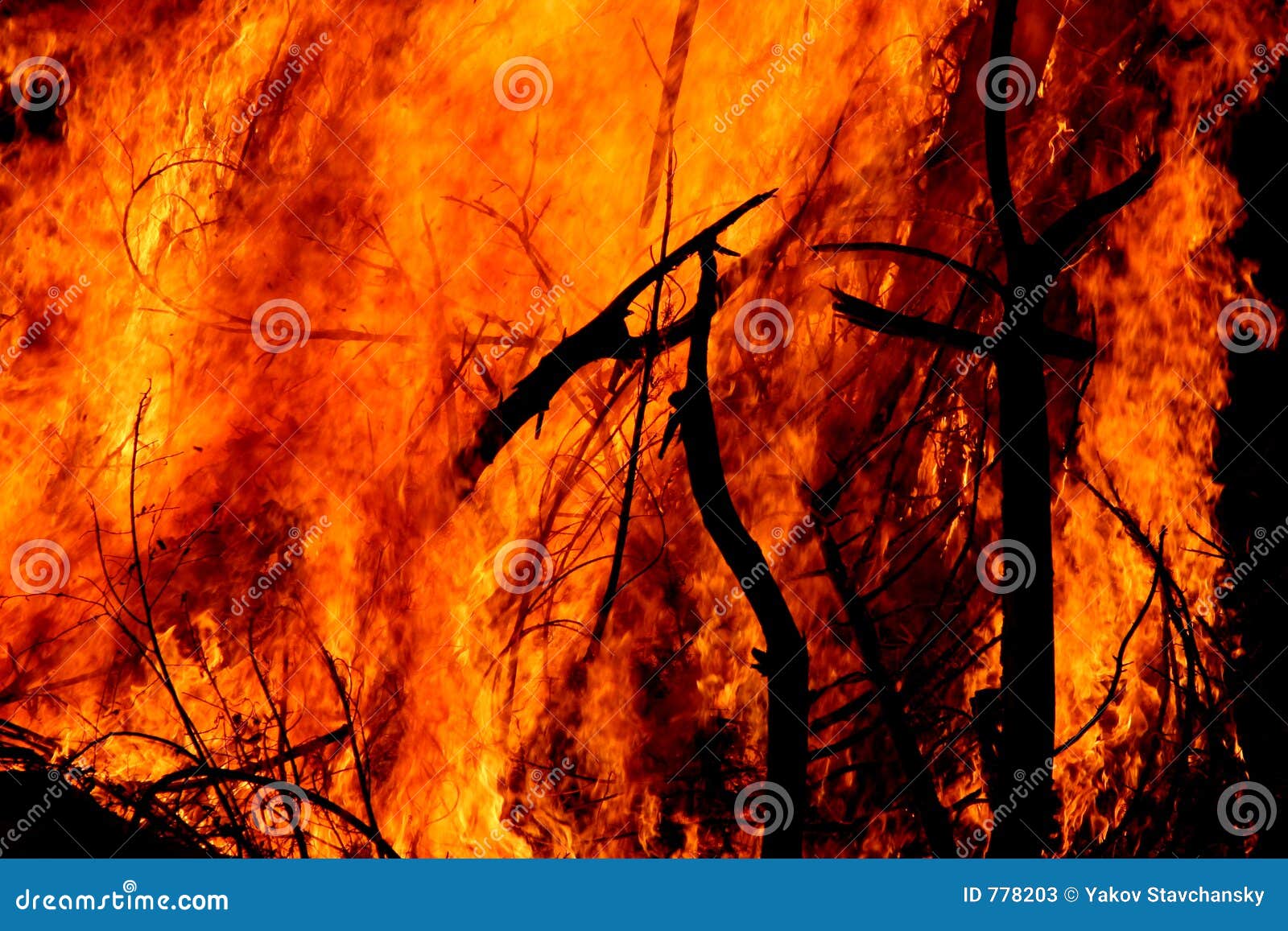 Ghost Dancing Haunted Dance Forest Photos - Free & Royalty-Free Stock ...