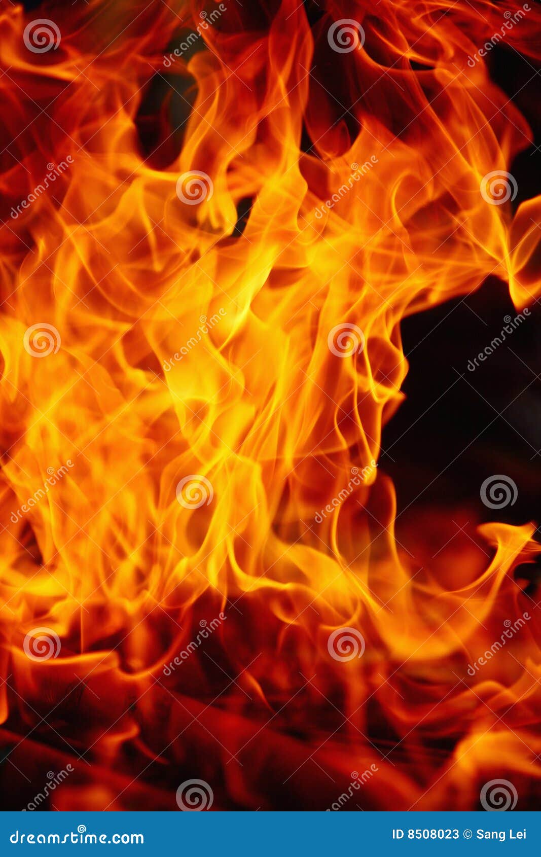 Fire stock image. Image of inferno, burn, burns, fiery - 8508023