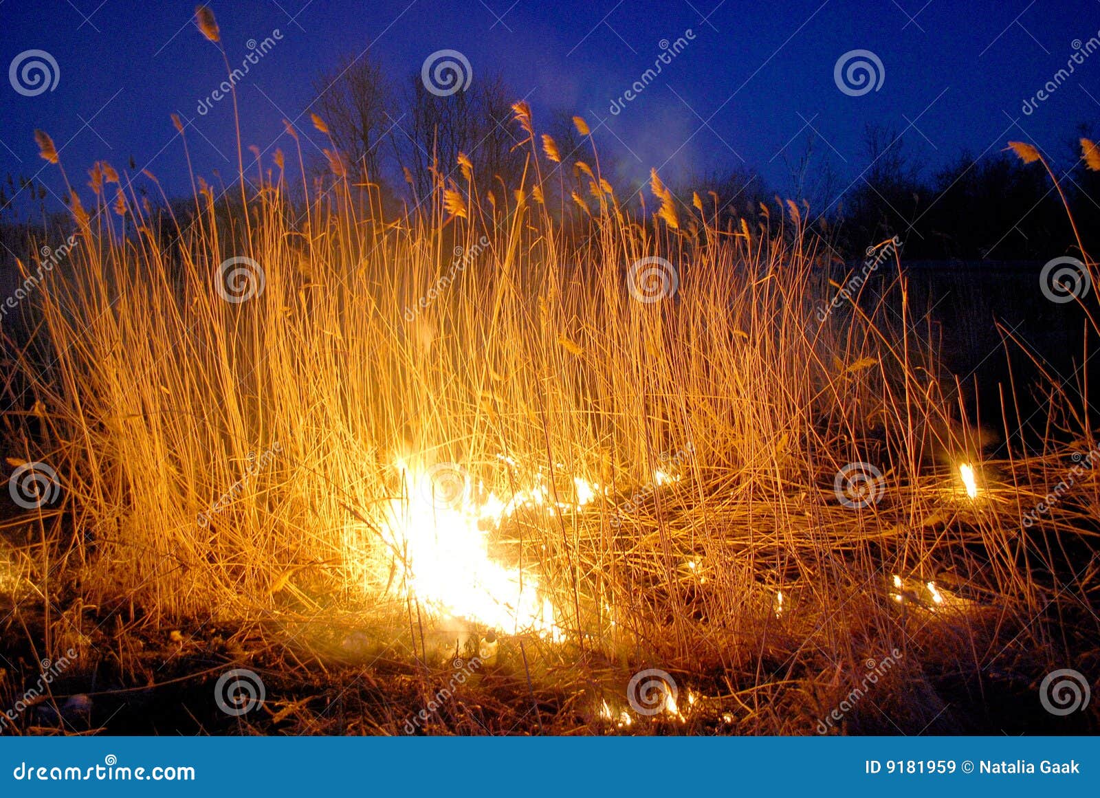 Fire stock image. Image of fire, night, light, dark, blue - 9181959