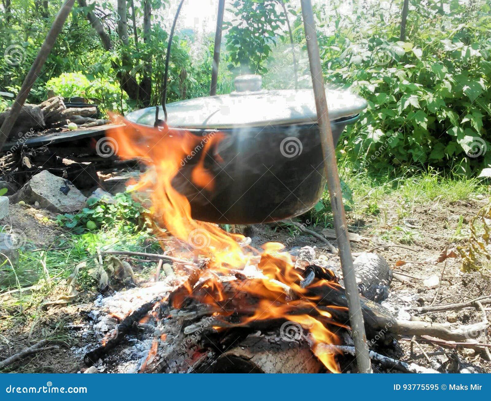 Fire stock image. Image of cook, fire, gras, wood, cooking - 93775595