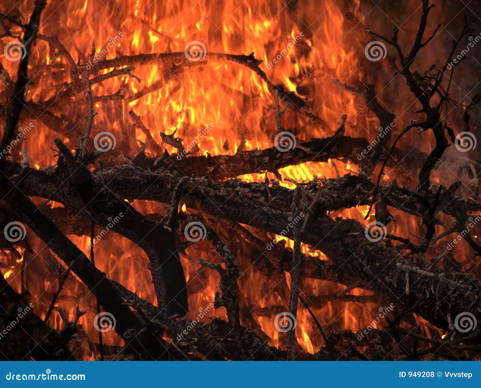 Fire stock photo. Image of summer, danger, forest, orange - 949208
