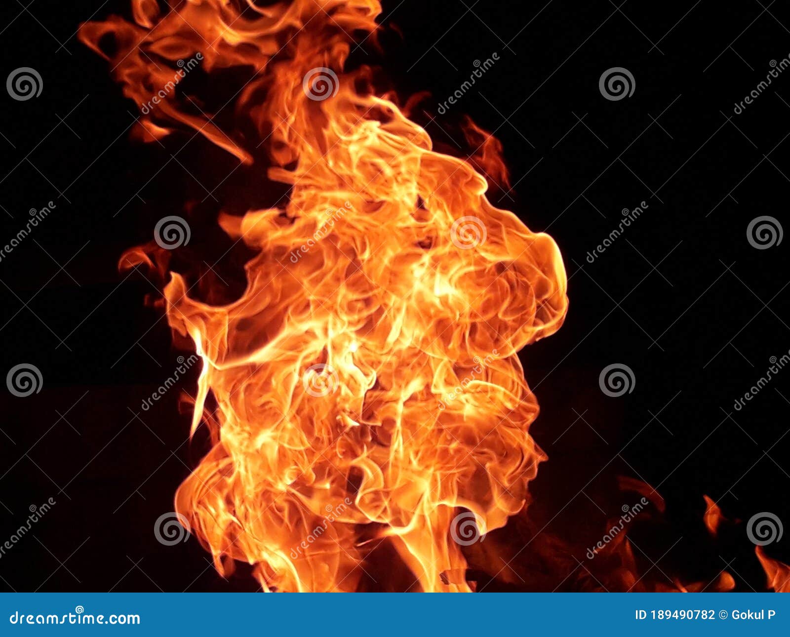 Fire, agni, burn stock photo. Image of petal, bonfire - 189490782