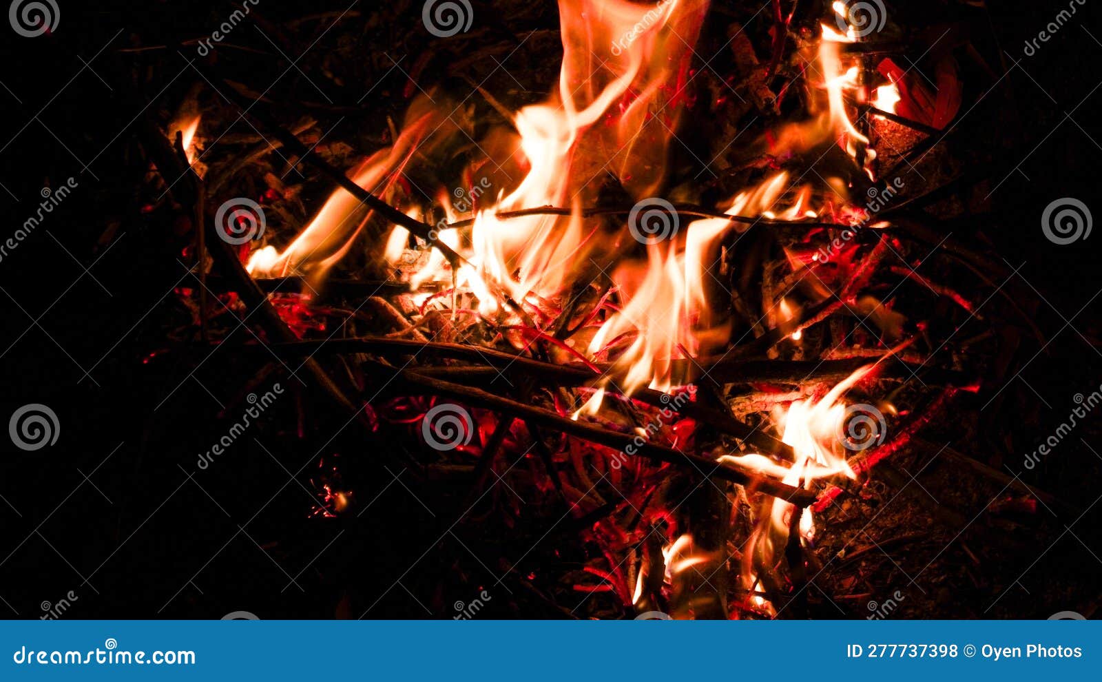 Fire and embers stock photo. Image of sparkle, meat - 277737398
