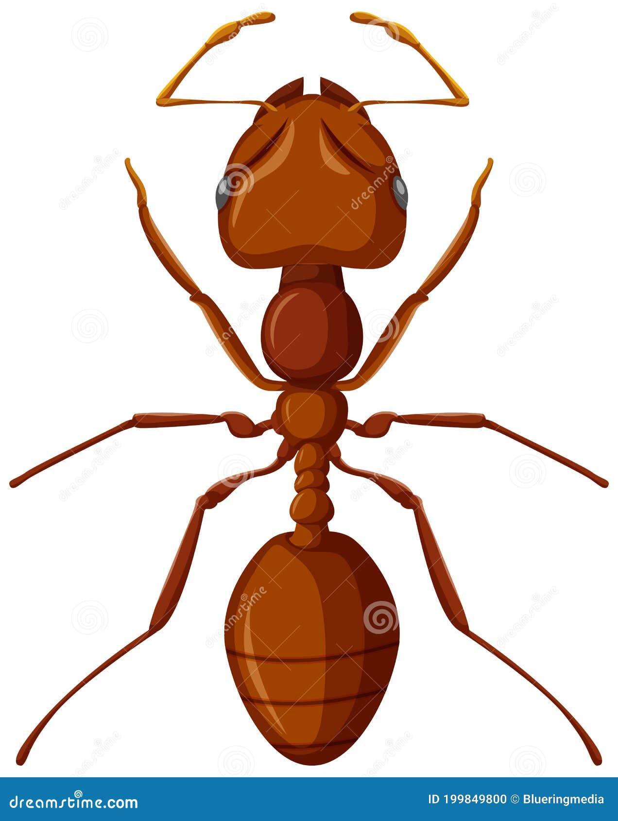 Fire Ant Isolated on White Background Stock Vector - Illustration of ...