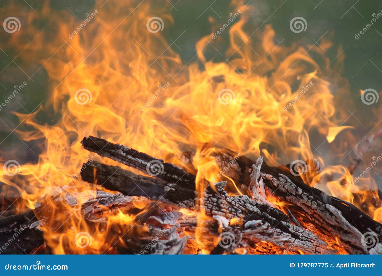 Fire and Ash burning wood stock image. Image of orange - 129787775