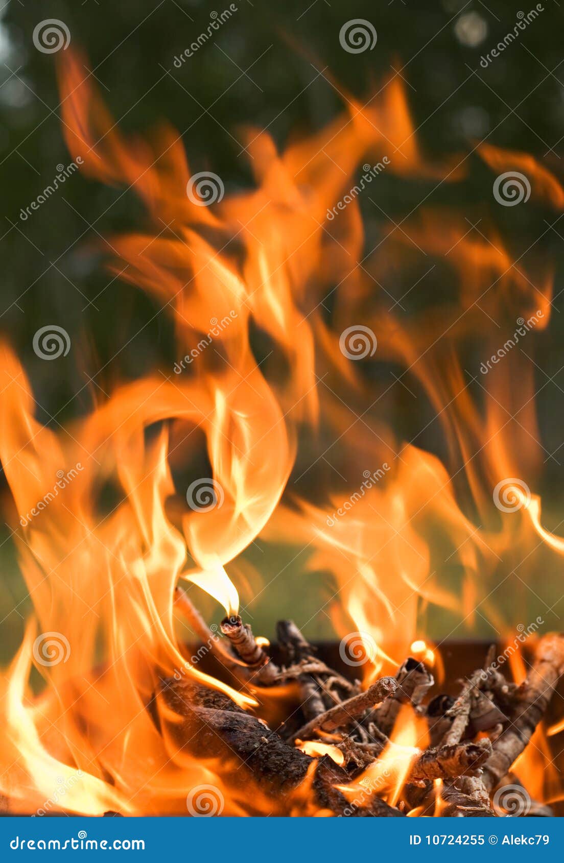 Fire and ashes stock image. Image of fuel, heat, ashes - 10724255