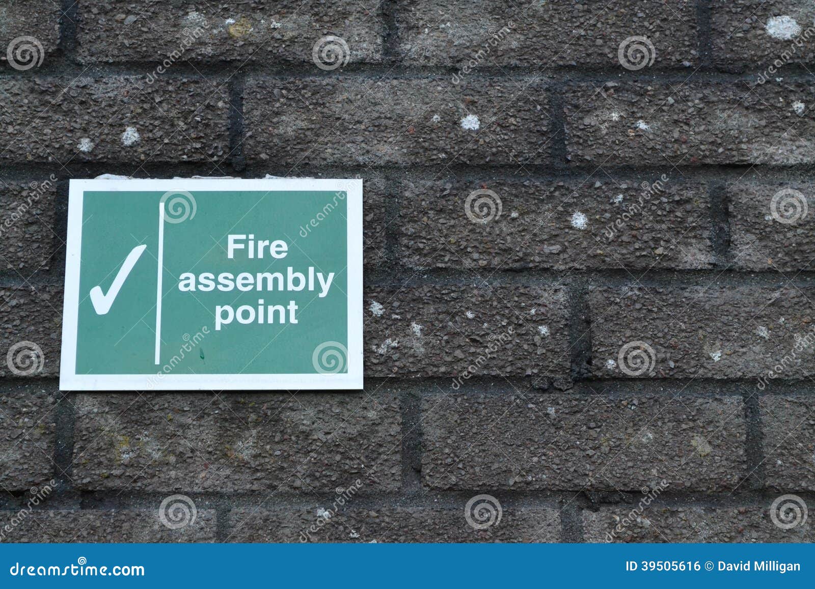 Fire assembly point sign stock photo. Image of sign, white - 39505616