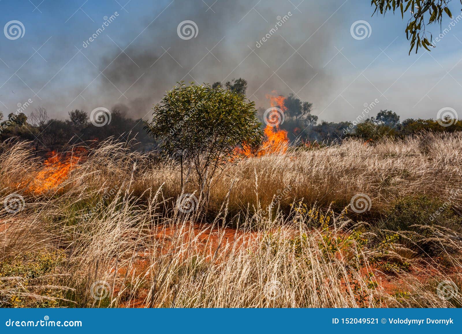 A Fire in the Australian Outback Stock Image - Image of australia ...