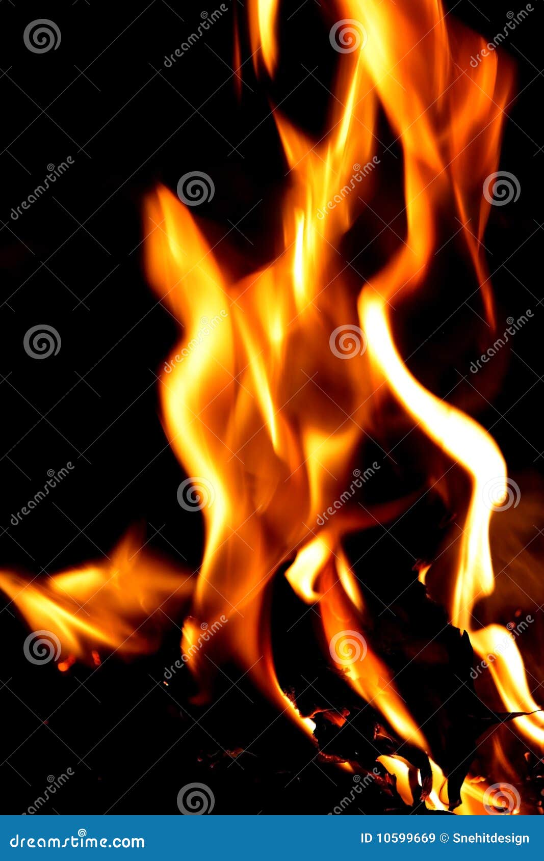 191 Enchanted Fire Background Stock Photos - Free & Royalty-Free Stock ...