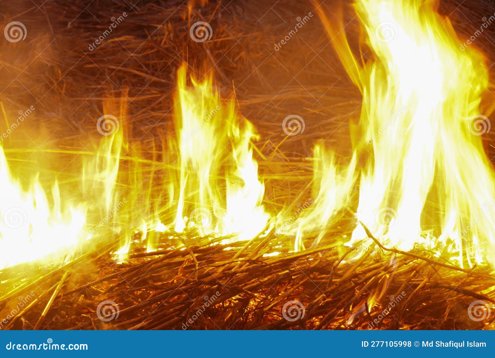 Fire Background, Fire Creates Infinity Shapes when it Burns. Super Slow ...