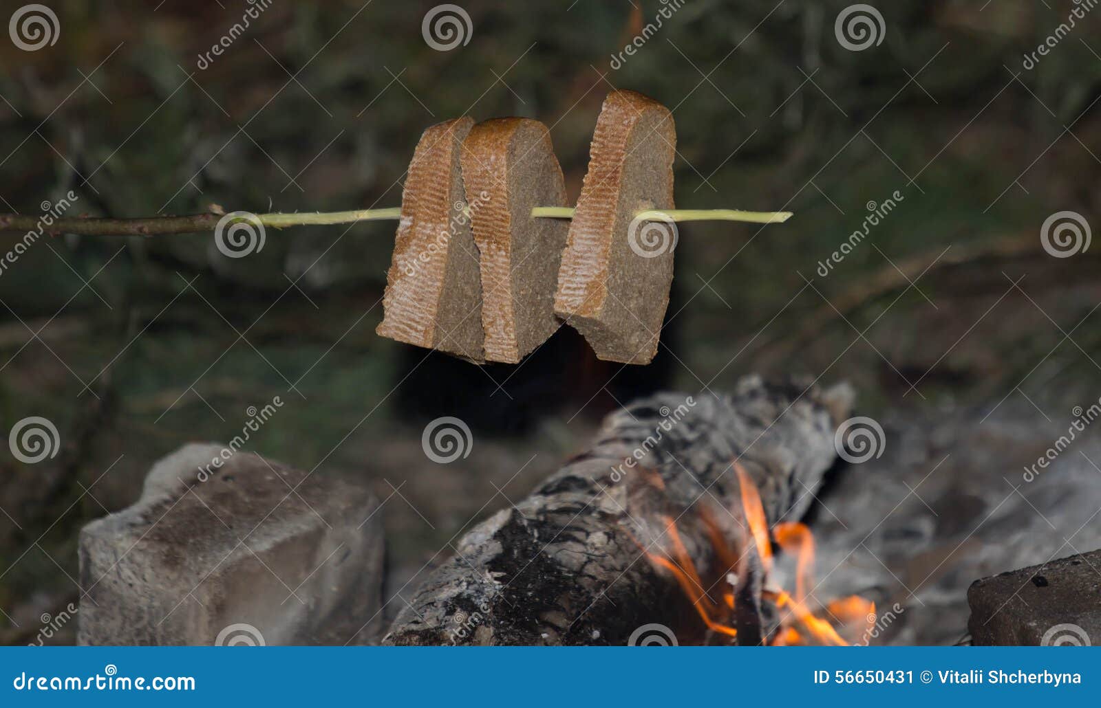 Fire baked bread stock image. Image of baking, stick - 56650431