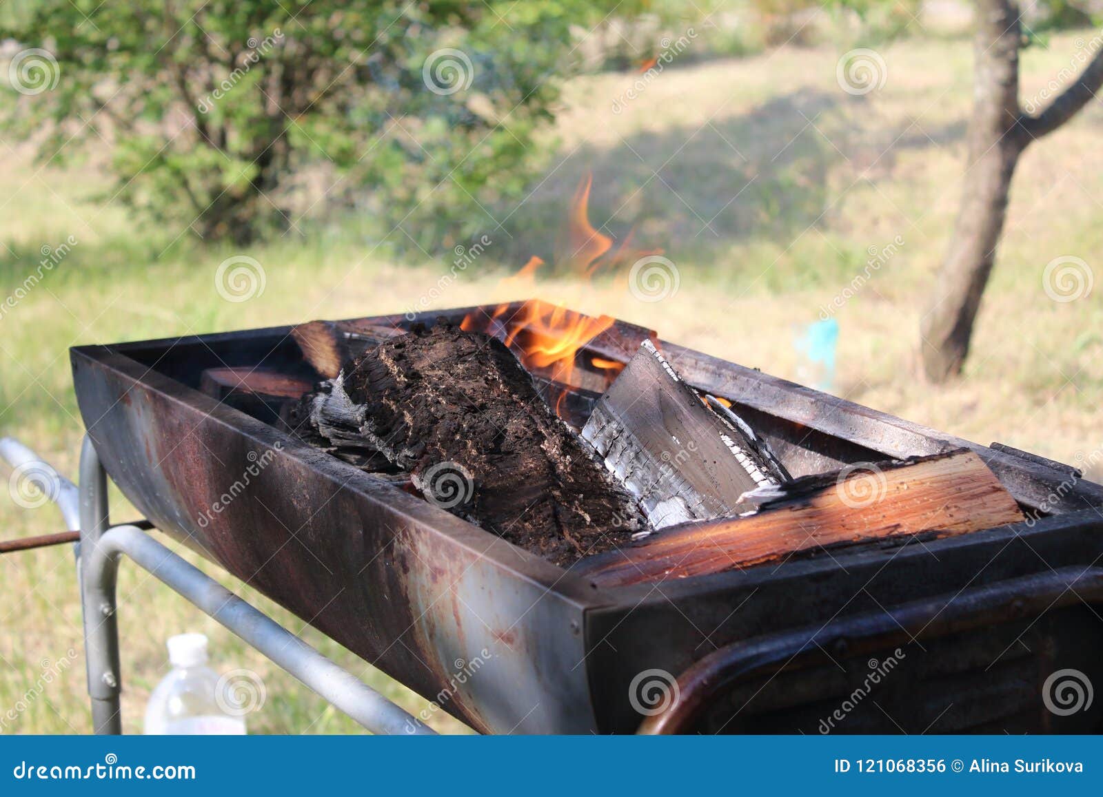 Fire barbecue stock photo. Image of barbecue, family - 121068356