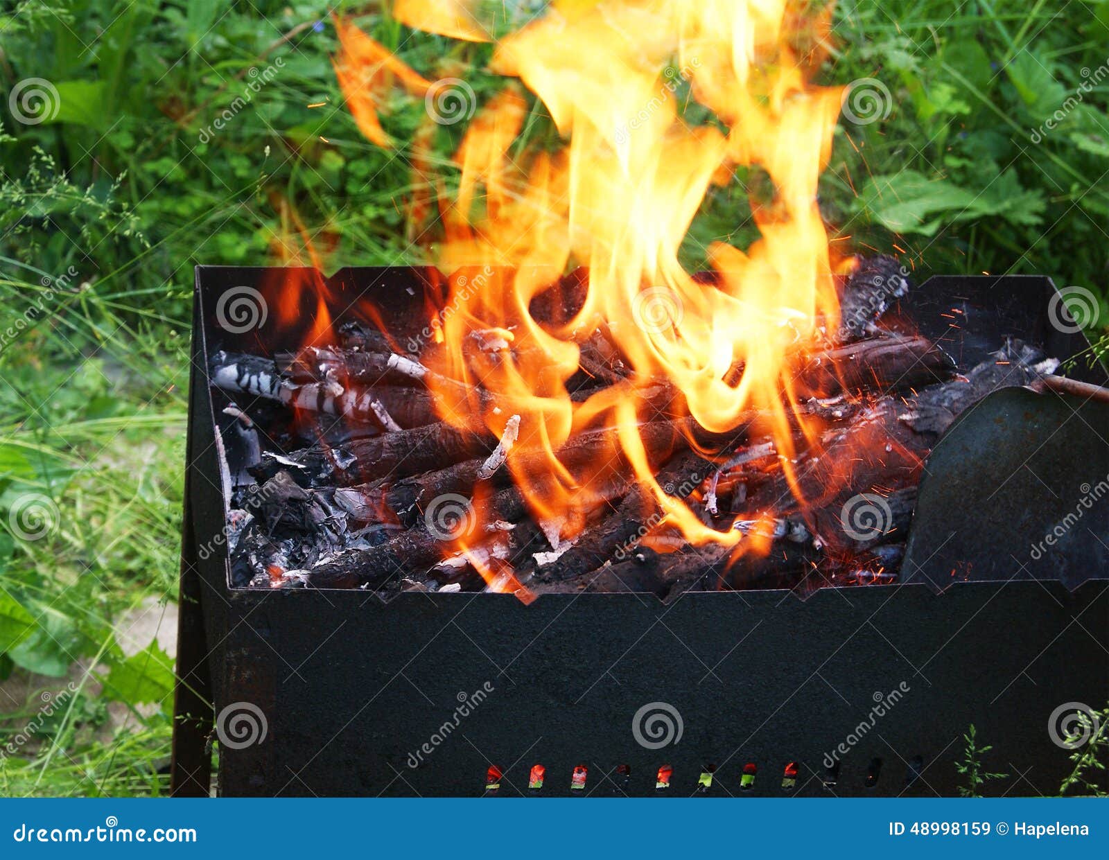 Fire in Barbecue, closeup stock image. Image of green - 48998159