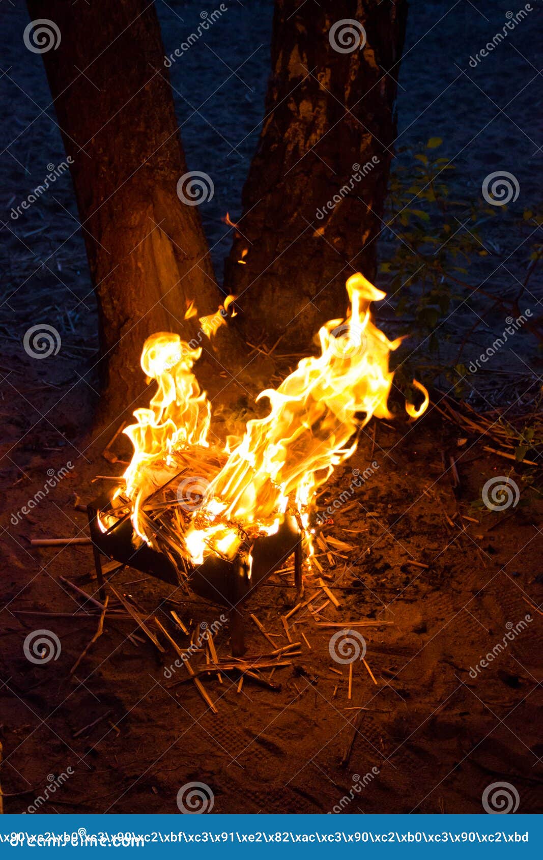 Fire in the Brazier on a Dark Night Stock Photo - Image of energy, food ...