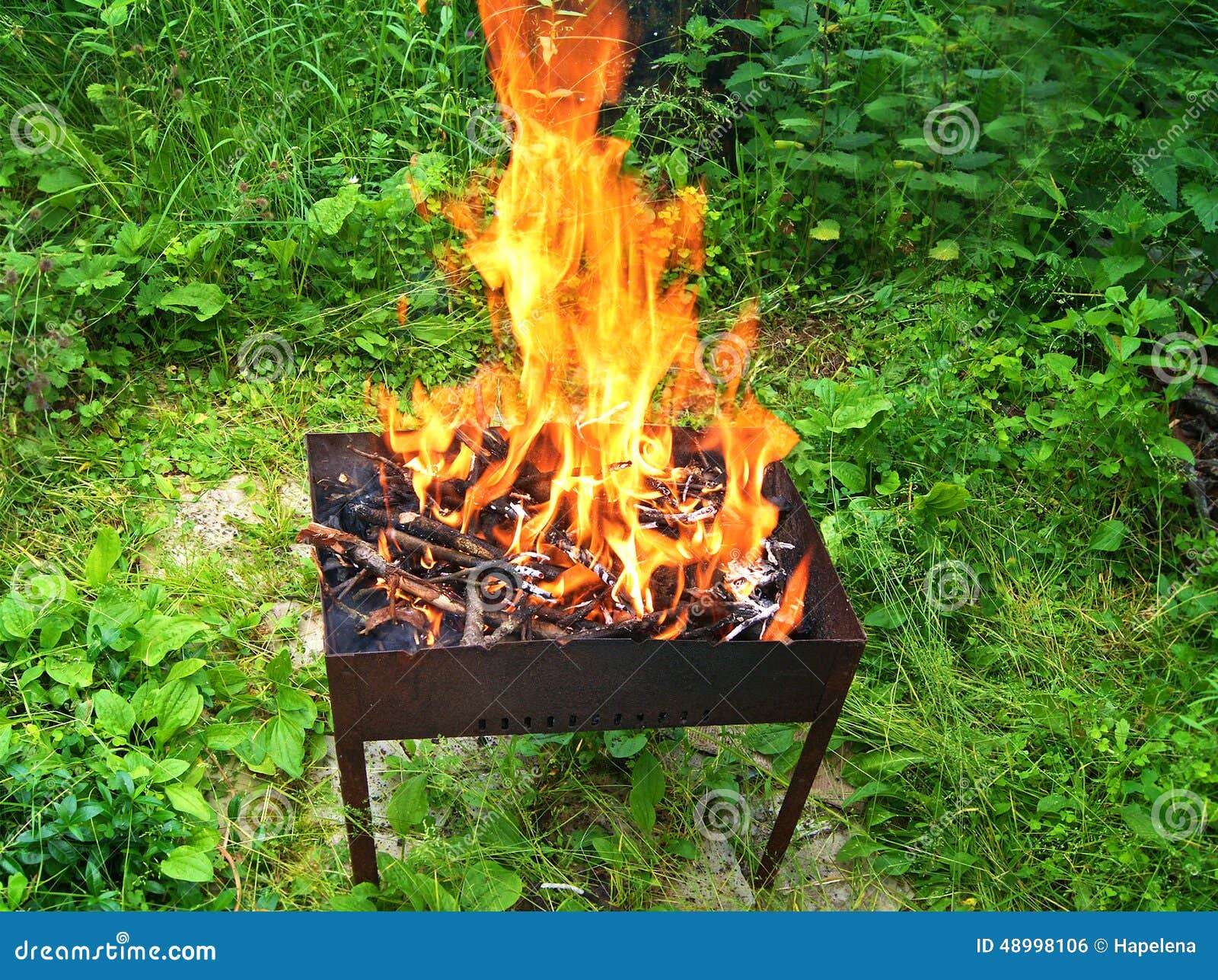 Fire in Barbecue stock photo. Image of fire, color, garden - 48998106