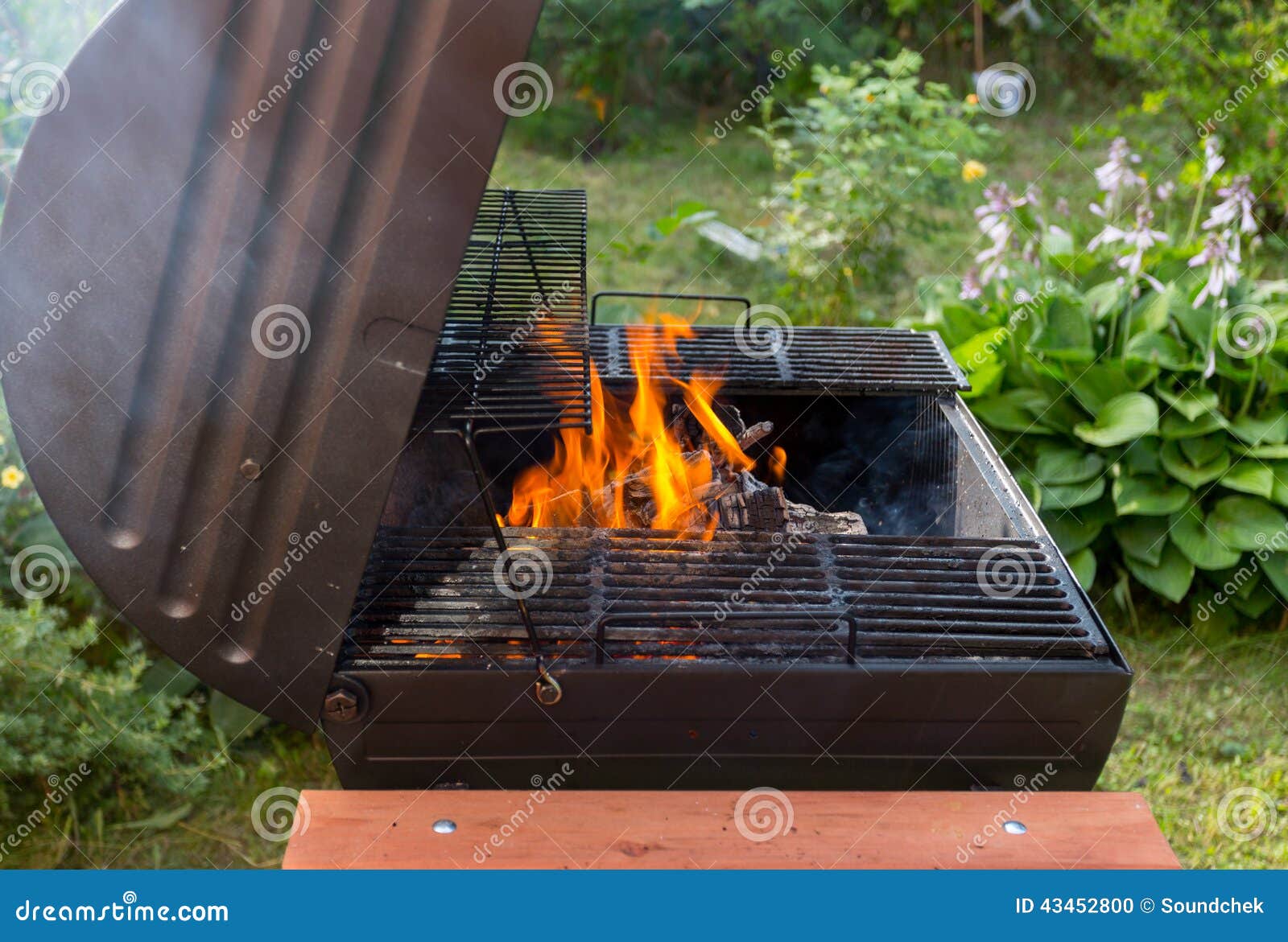 Fire in barbecue grill stock photo. Image of heat, picnic - 43452800