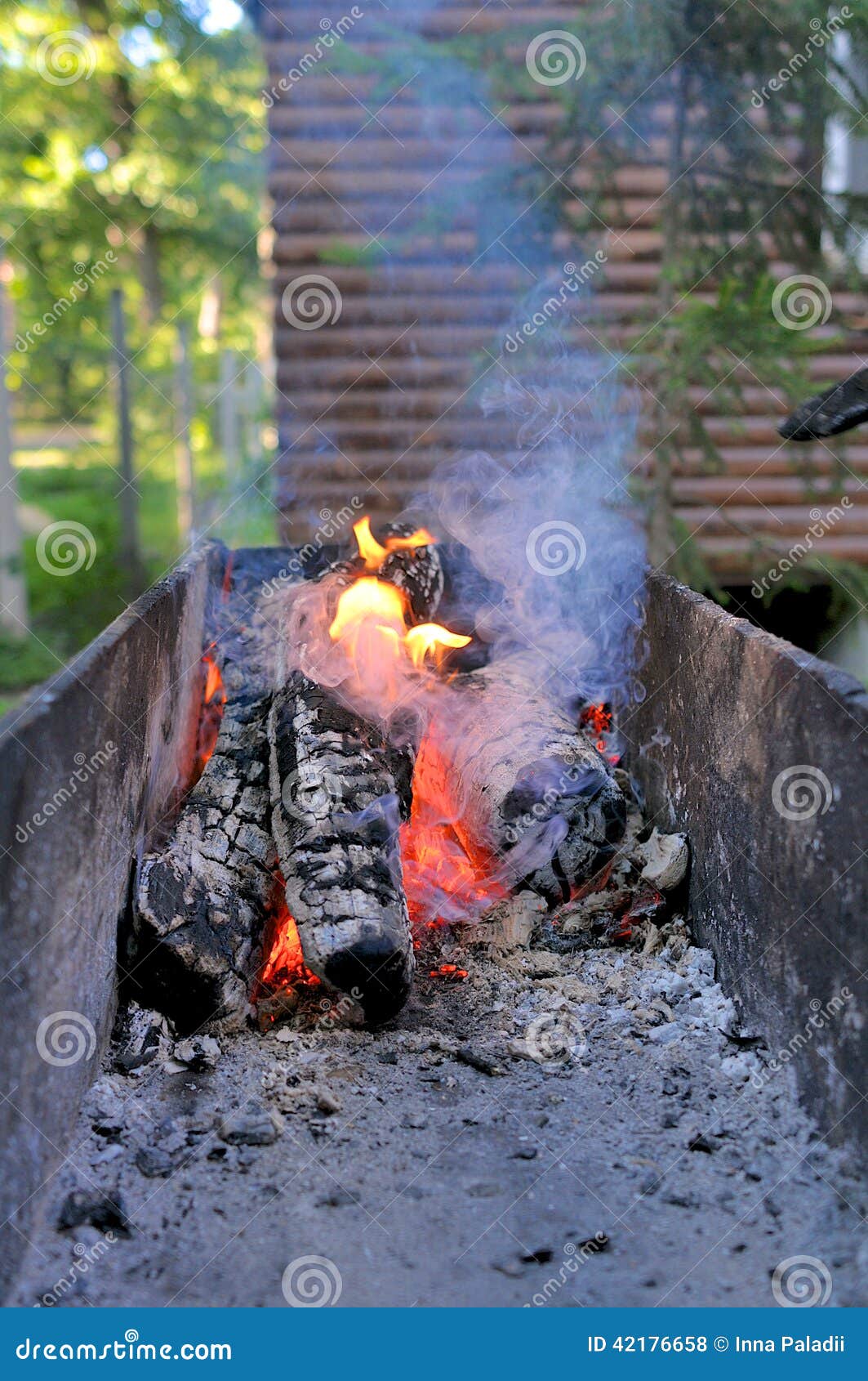 Fire on the barbeque stock photo. Image of grill, tree - 42176658