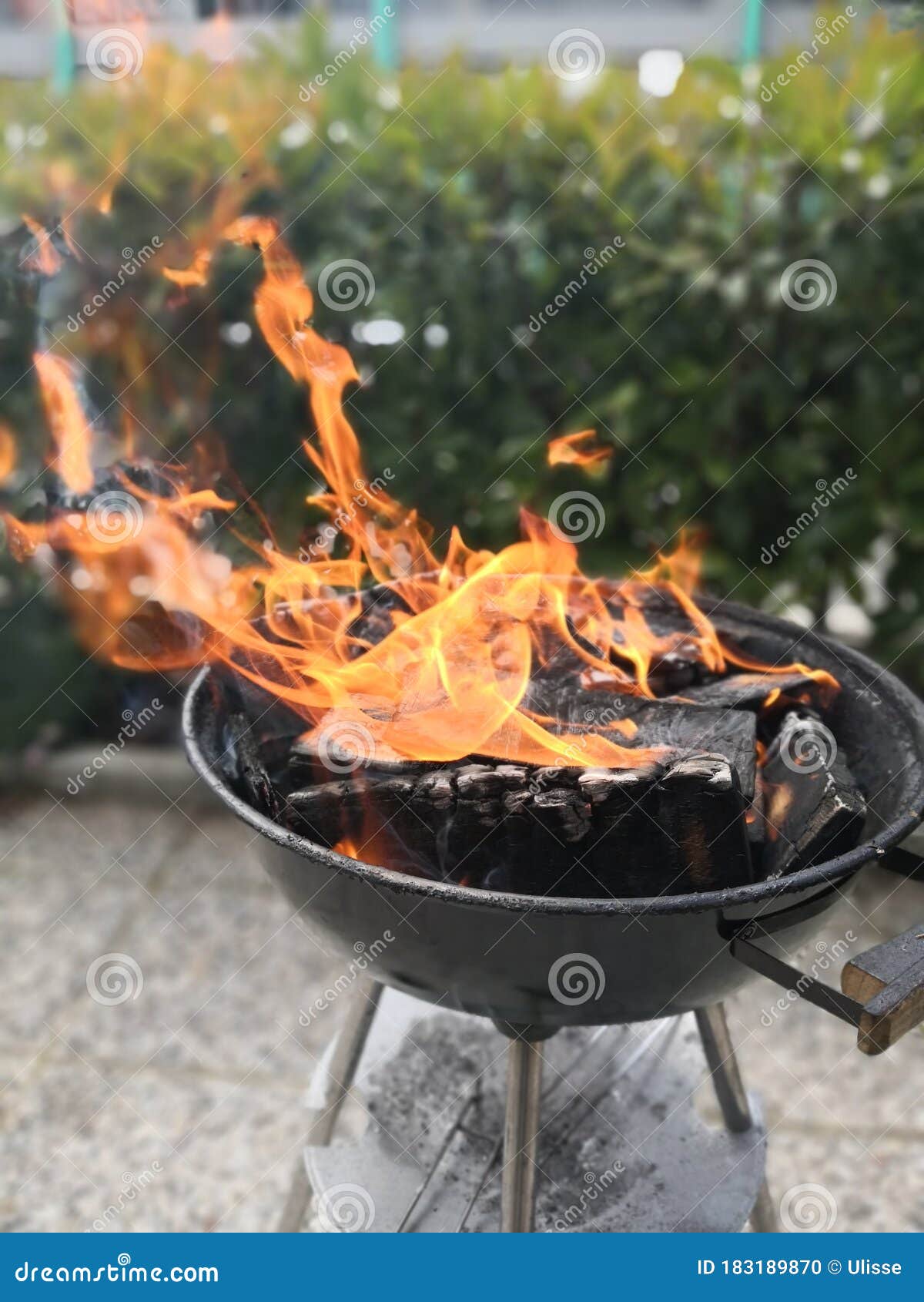 Fire and barbeque stock photo. Image of grilled, beef - 183189870