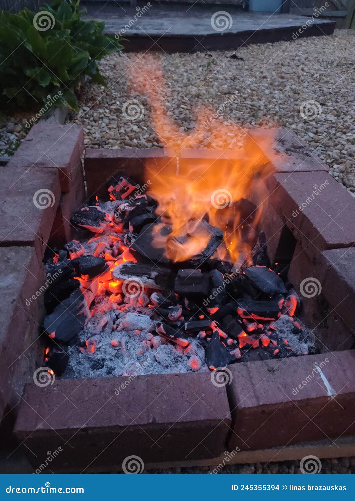 Fire beautiful nice stock photo. Image of nature, fire - 245355394