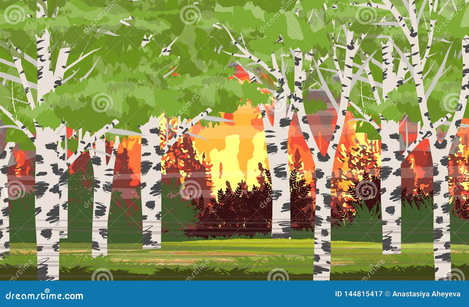 Fire in Birch Forest. Burning Trees. Wildfire. Catastrophe Stock Vector ...