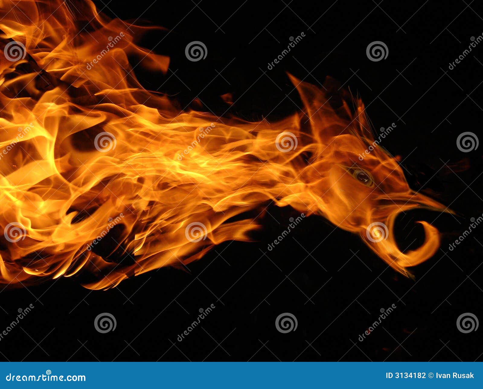 Fire bird stock photo. Image of blaze, enchanted, bonfire - 3134182
