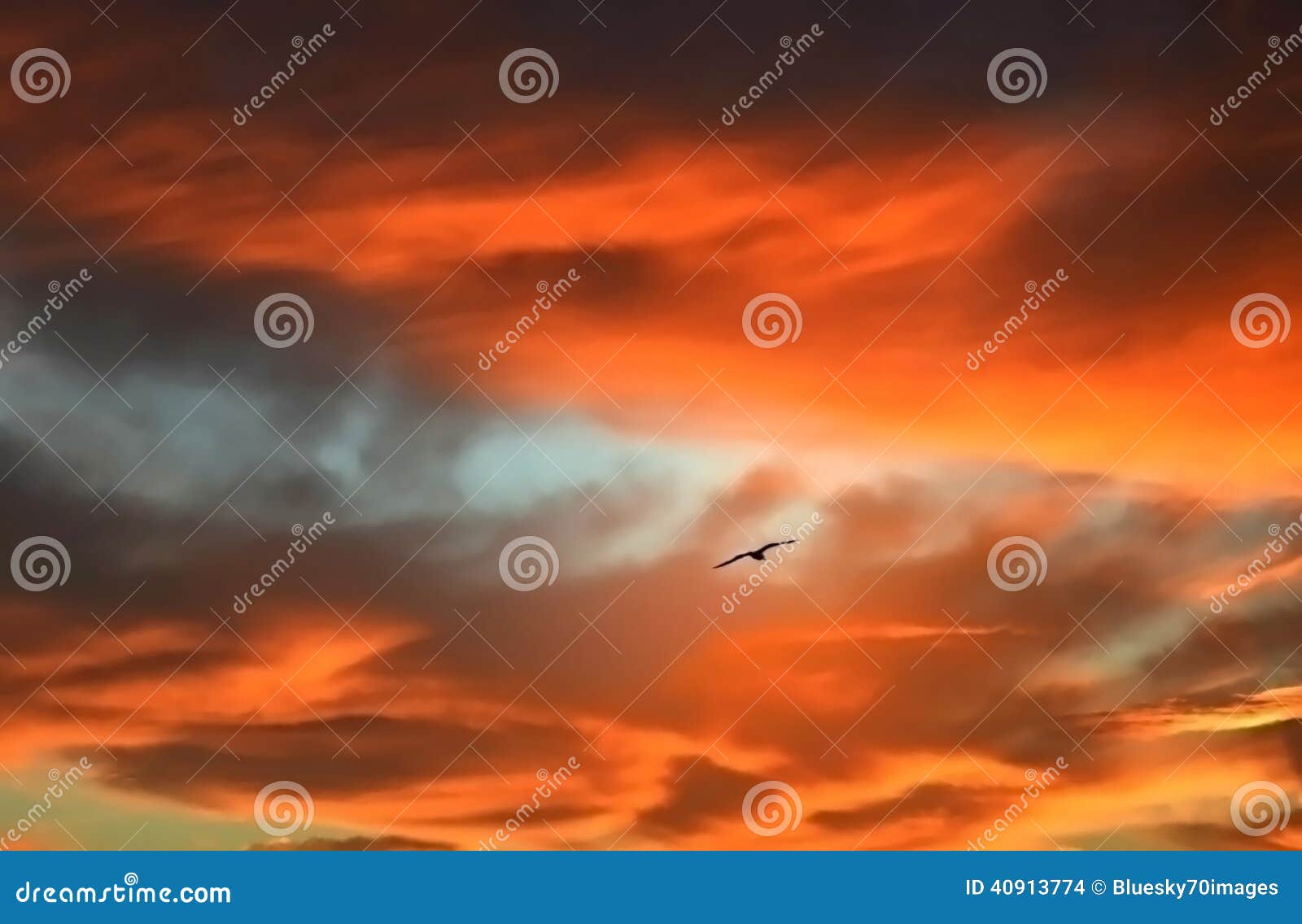 Fire bird stock photo. Image of beautiful, heaven, cloud - 40913774