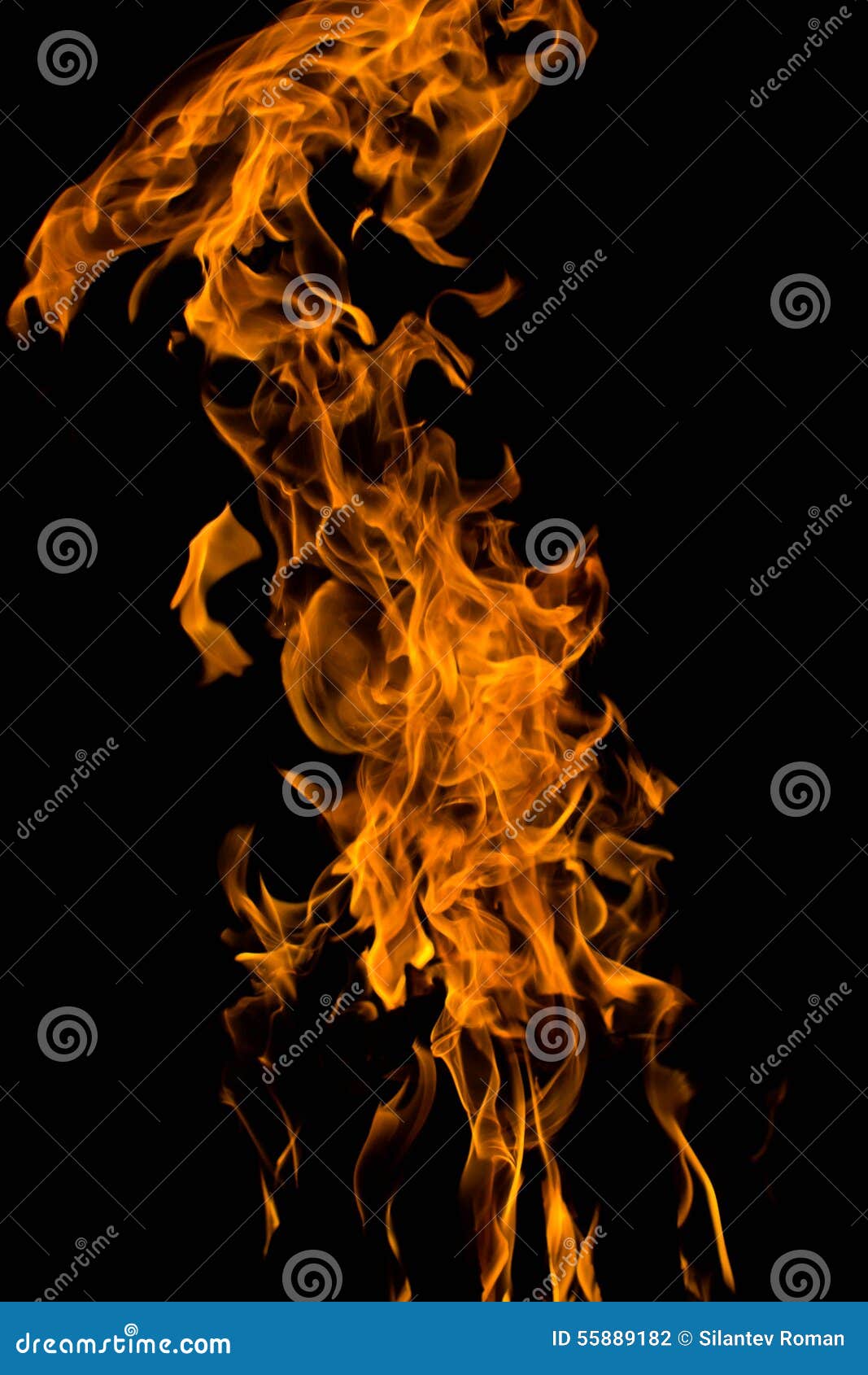 Fire on a black background stock photo. Image of background - 55889182