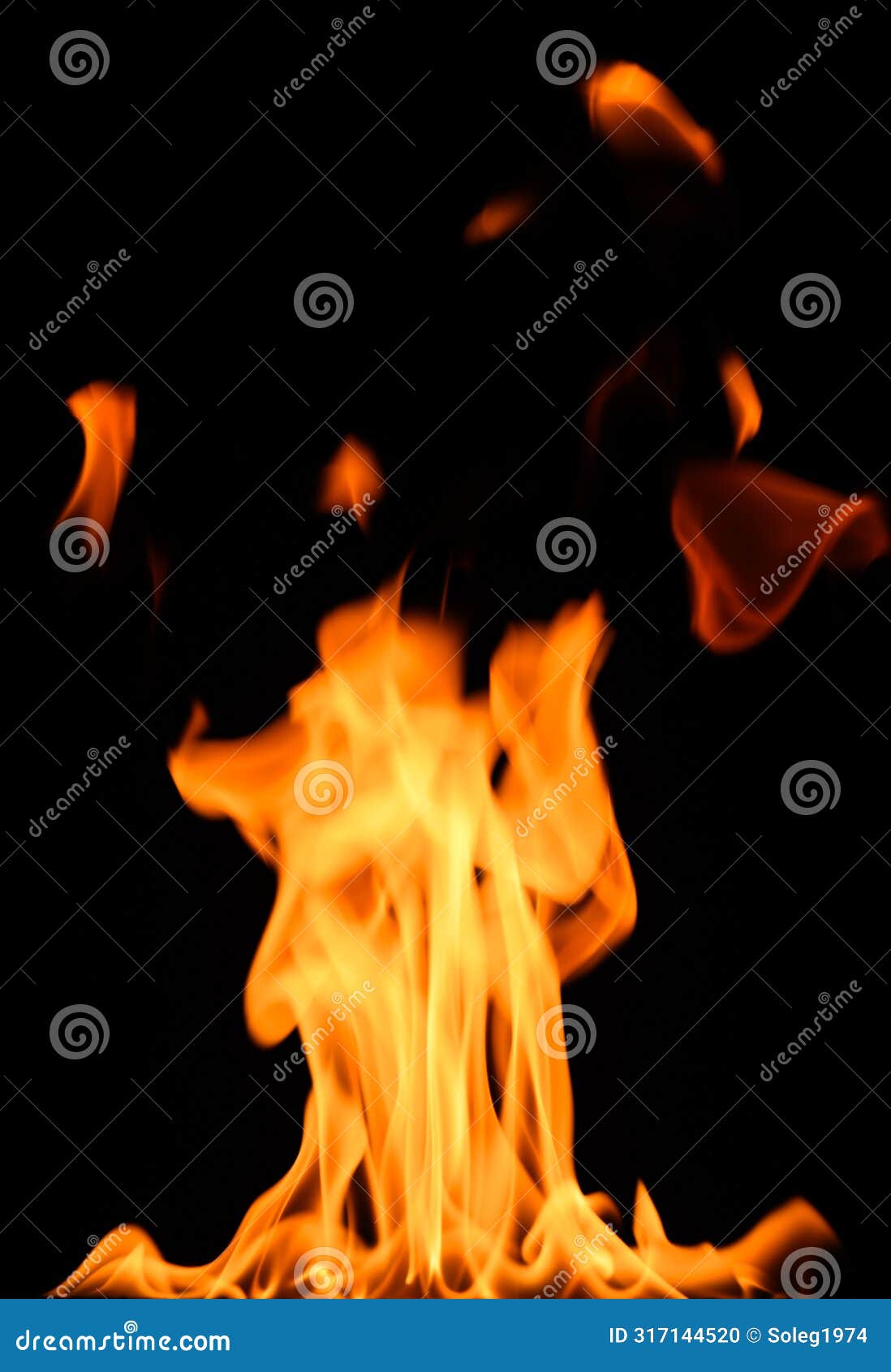Fire on a Black Background, Burning and Hot Flames, Close View Stock ...