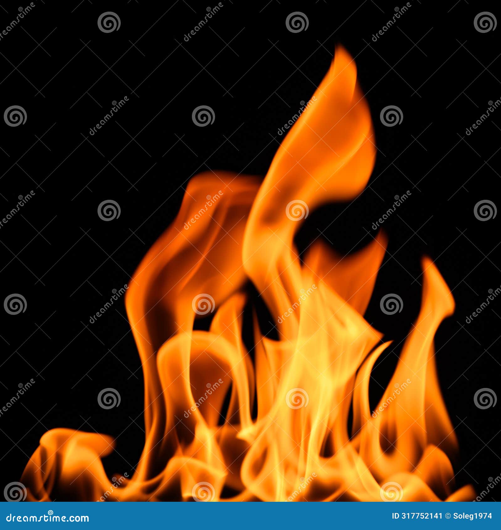 Fire on a Black Background, Burning and Hot Flames, Close View Stock ...