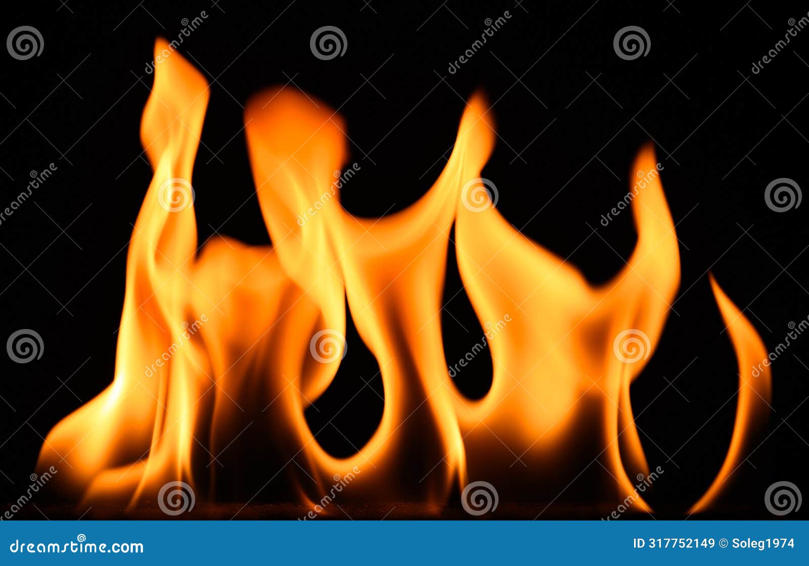 Fire on a Black Background, Burning and Hot Flames, Close View Stock ...