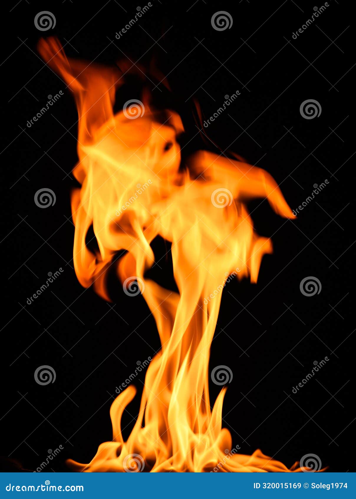 Fire on a Black Background, Burning and Hot Flames, Close View Stock ...