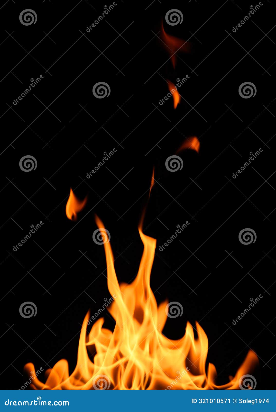 Fire on a Black Background, Burning and Hot Flames, Close View Stock ...