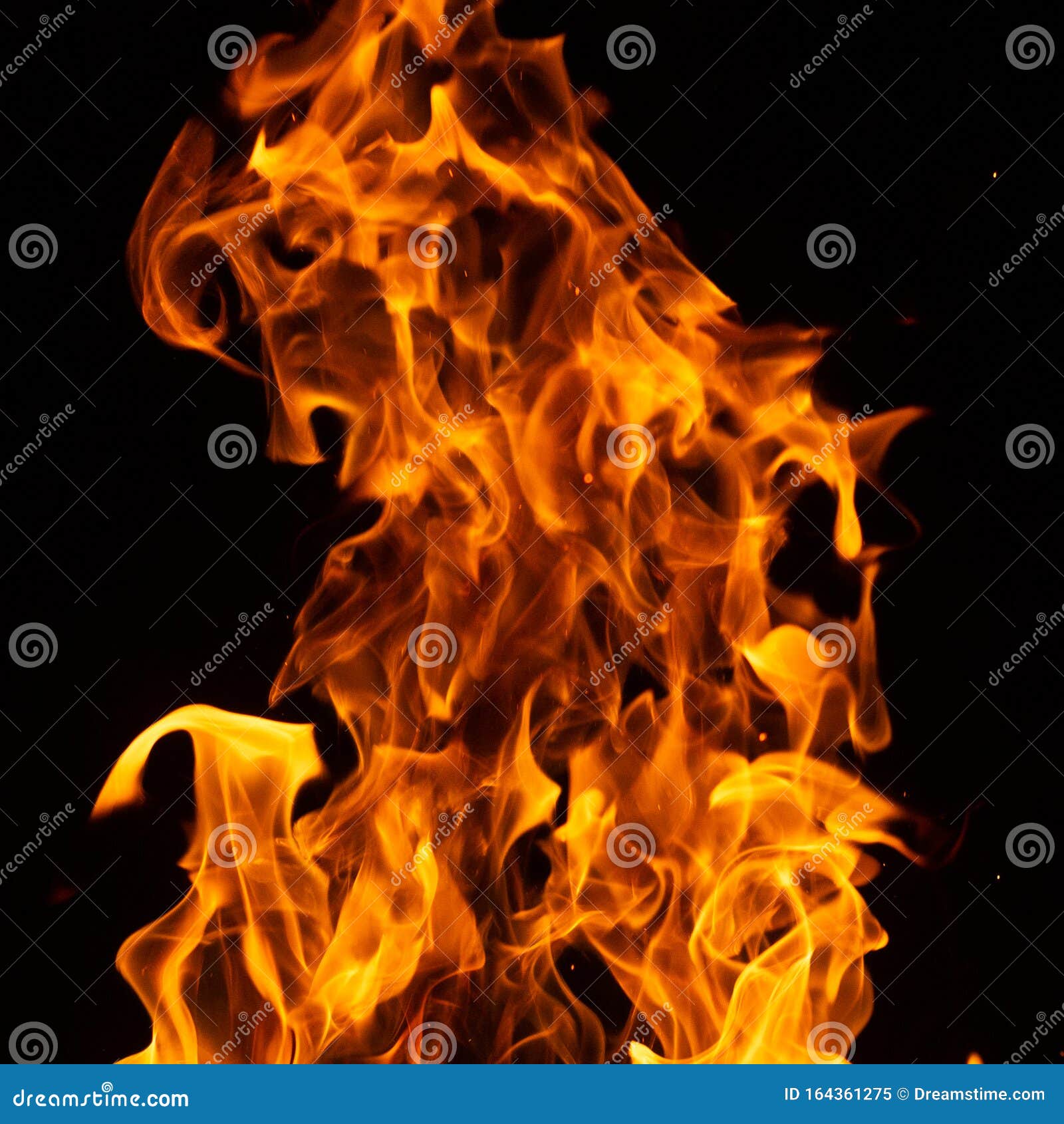 Fire on black background stock image. Image of firestorm - 164361275