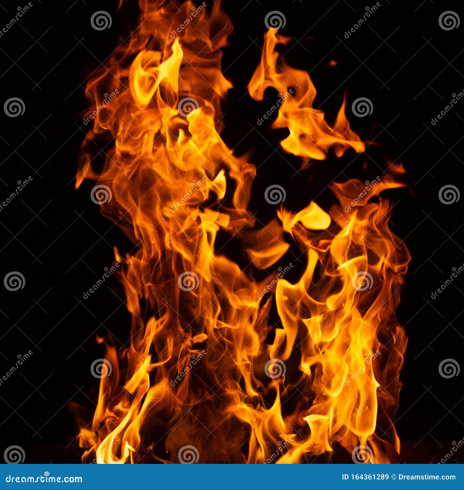 Fire on black background stock image. Image of firestorm - 164361289