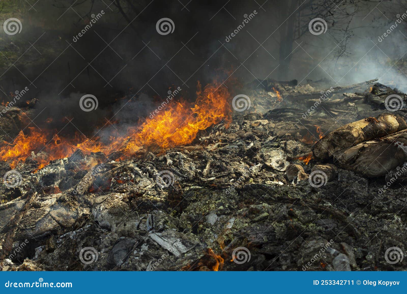 Fire and Black Smoke. Fire in Landfill. Smoke in Forest Stock Image ... Fire and Black Smoke. Fire in Landfill. Smoke in Forest Stock Image ...