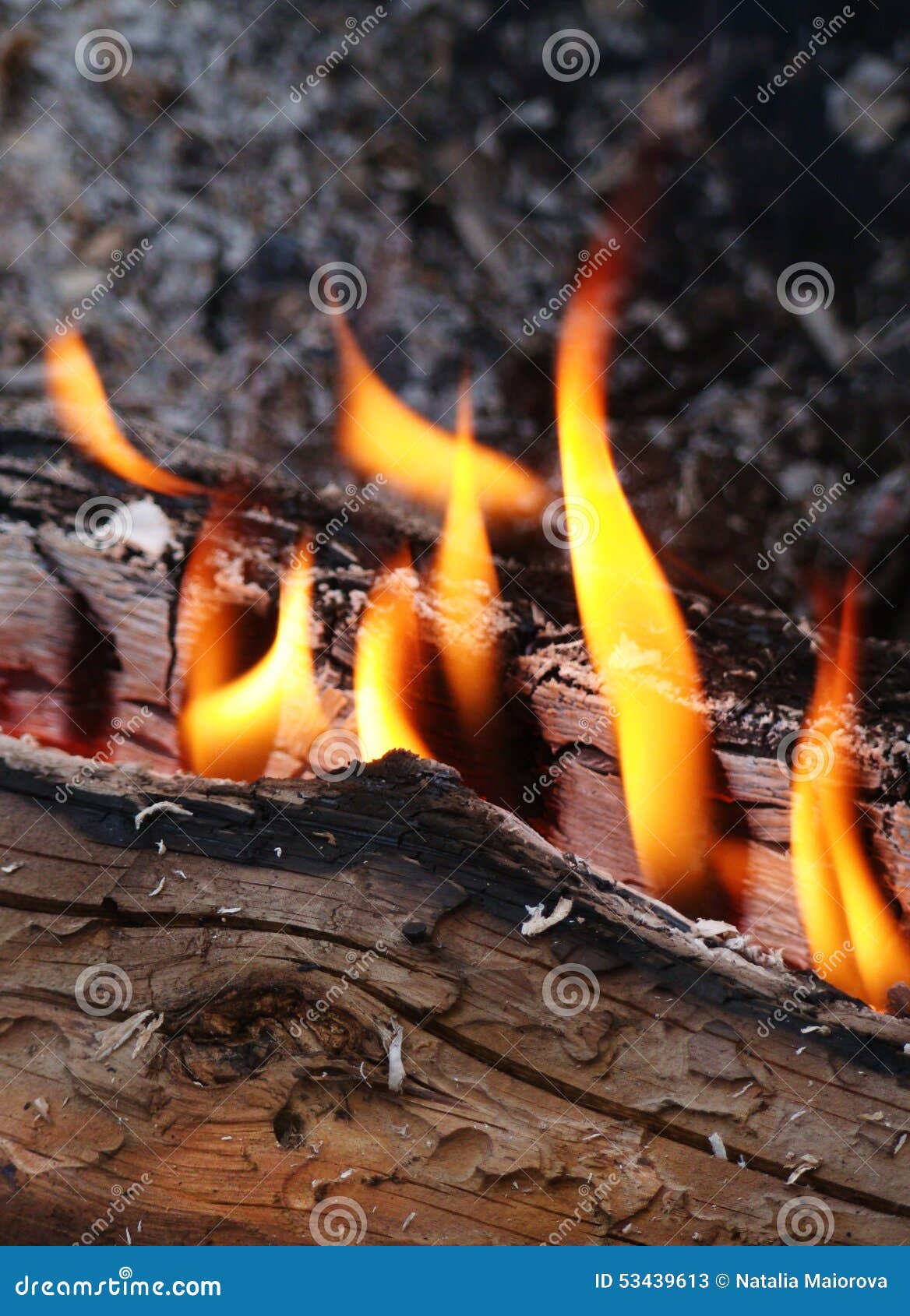 Fire Blaze, Fire, Firing, Flame Stock Image - Image of tree, blaze ...