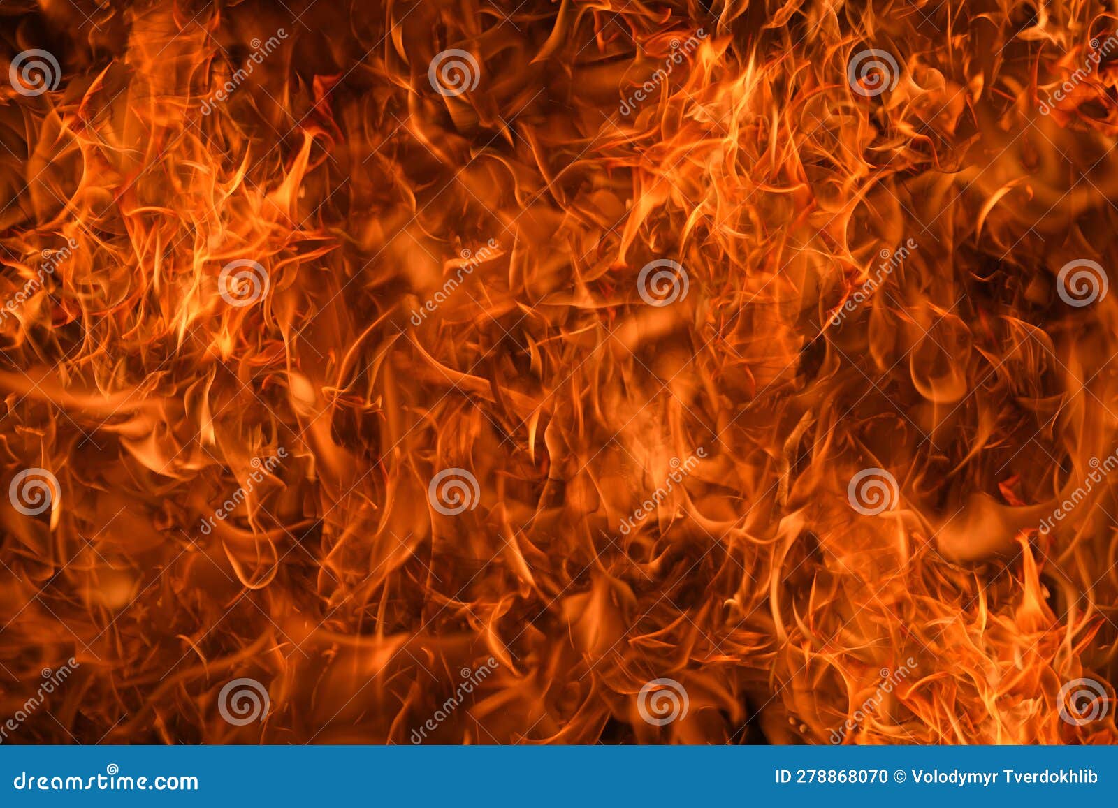 Fire Blaze Flames on Black Background. Fire Burn Flame Isolated ...