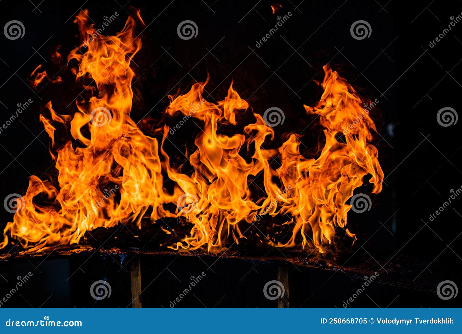 Fire Blaze Flames on Black Background. Fire Burn Flame Isolated ...