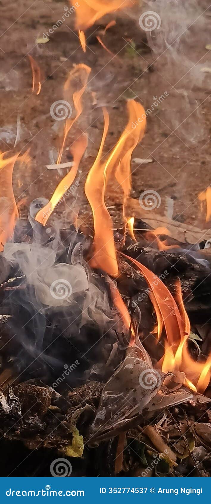 Fire That Blazes From Burning Garbage Stock Image | CartoonDealer.com ...