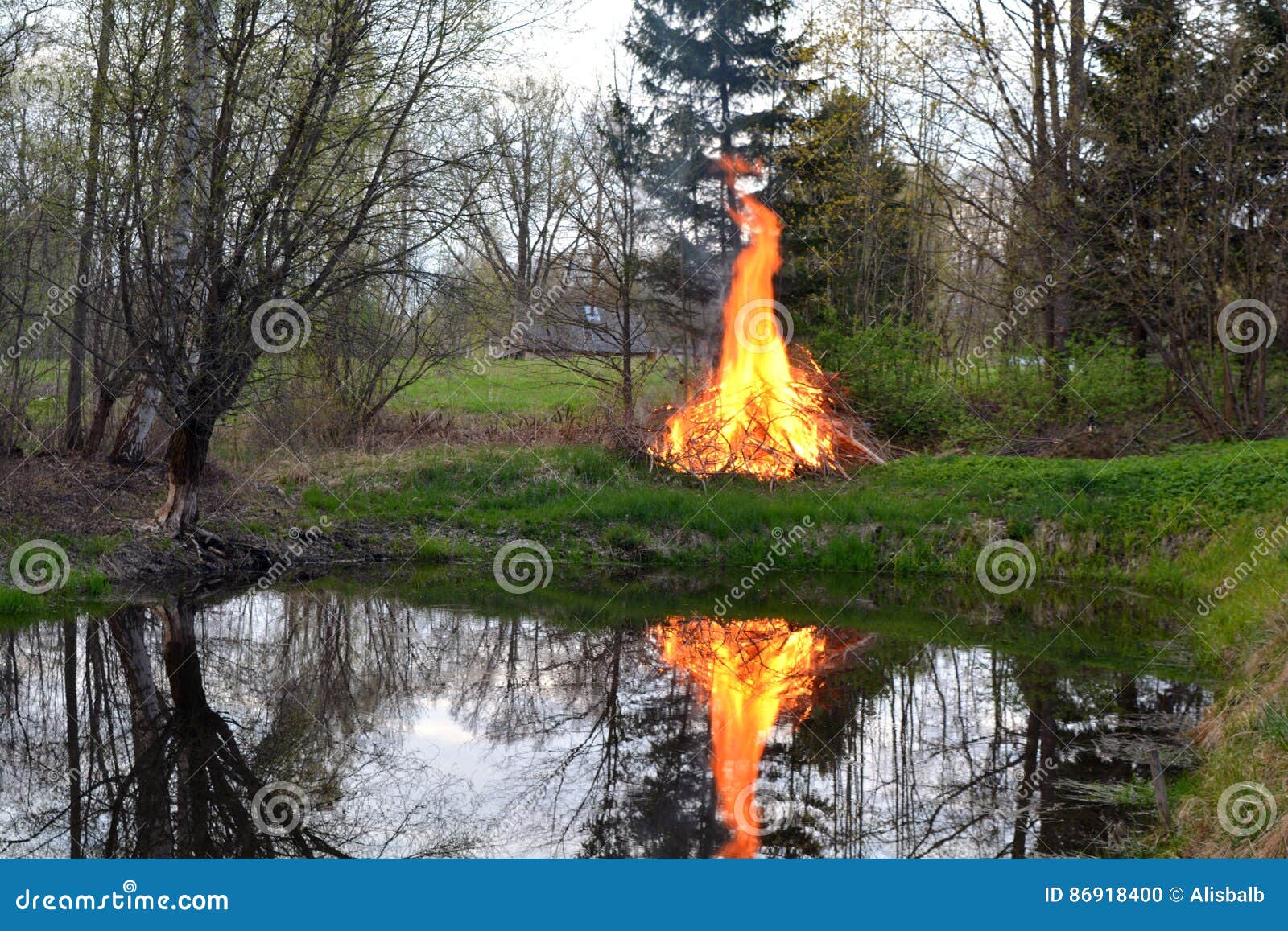 Fire Blazing on Spring Pond Coast Stock Photo - Image of nature ...