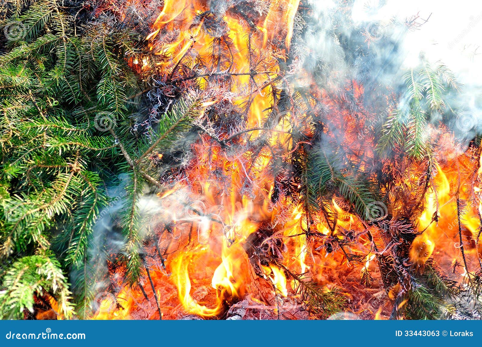 Fire. stock image. Image of natural, embers, orange, dark - 33443063